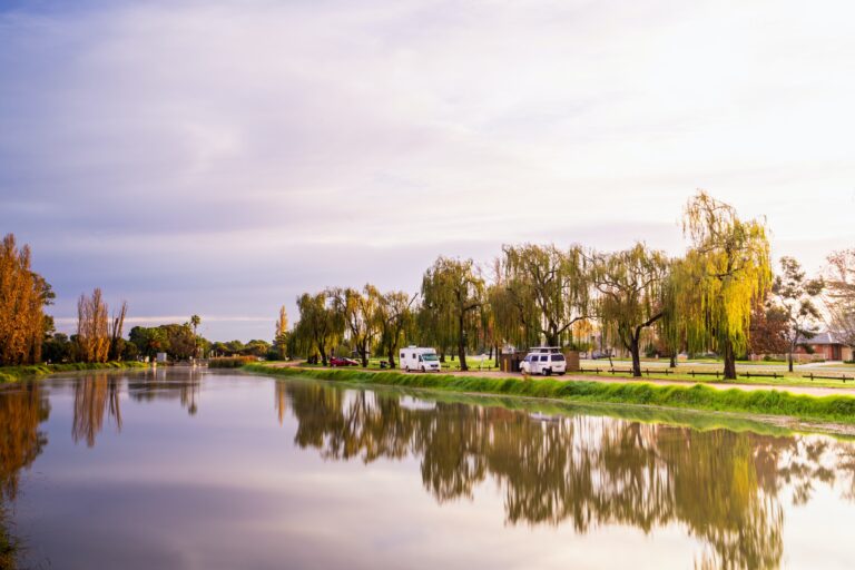 See & Do - Visit Griffith