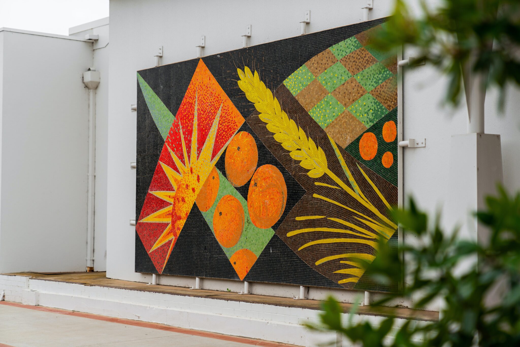 See & Do - Visit Griffith