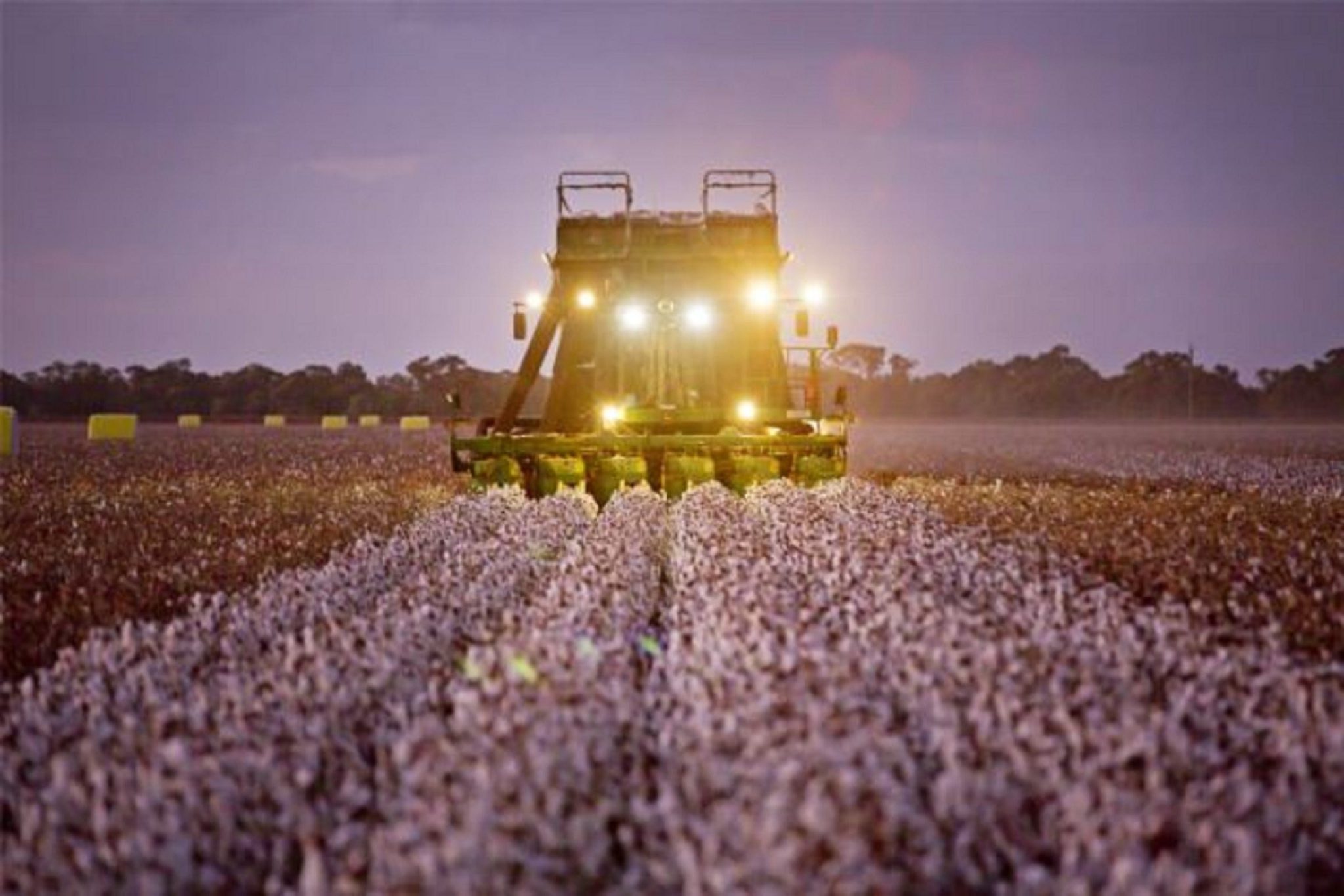 Be Guided - Visit Griffith