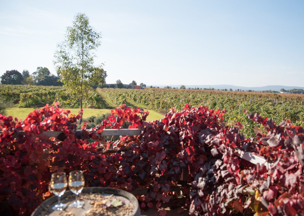 What's On - Visit Griffith