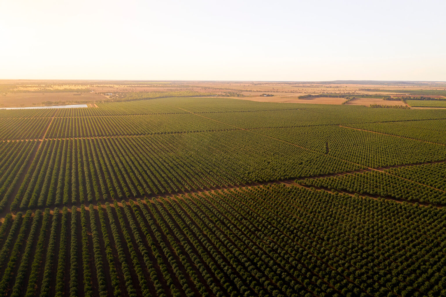 Media Releases - Visit Griffith