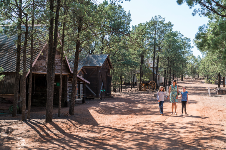 Lifestyle Loop Self Drive - Visit Griffith