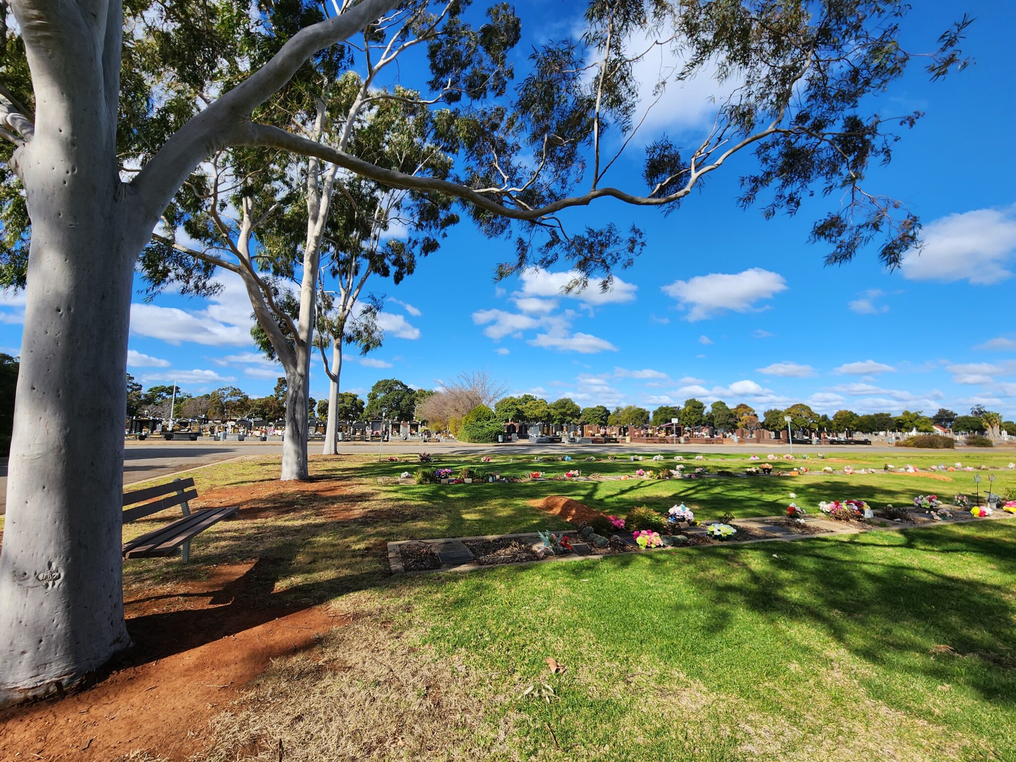 Discovery Drive - Visit Griffith